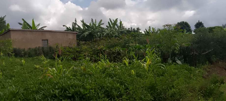 Accommodation in Kanombe, Kigali Rwanda for Rent & Sale 2024