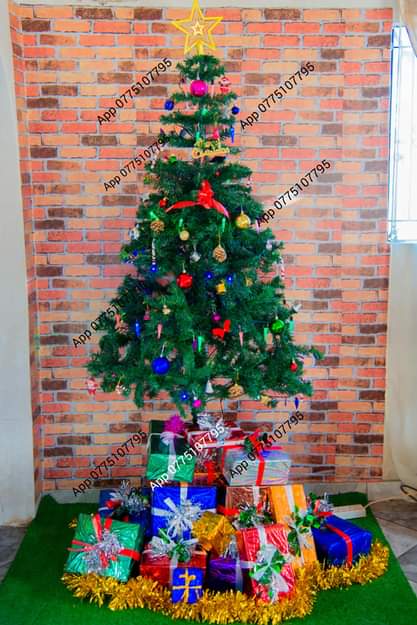 Trees for Sale in Zimbabwe: Tree Planting, Tree Cutting Services