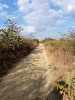 Traditional Land for Sale in Zambia 2023