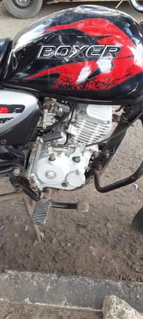 Boxer: For Sale Tanzania