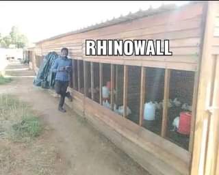 Fowl Run Services in Zimbabwe: Chicken Fowl Run Designs