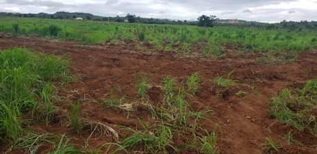 Traditional Land for Sale in Zambia 2023