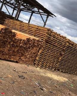 Board and Timber for Sale in Tanzania 2024