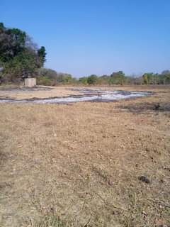 Traditional Land for Sale in Zambia 2024