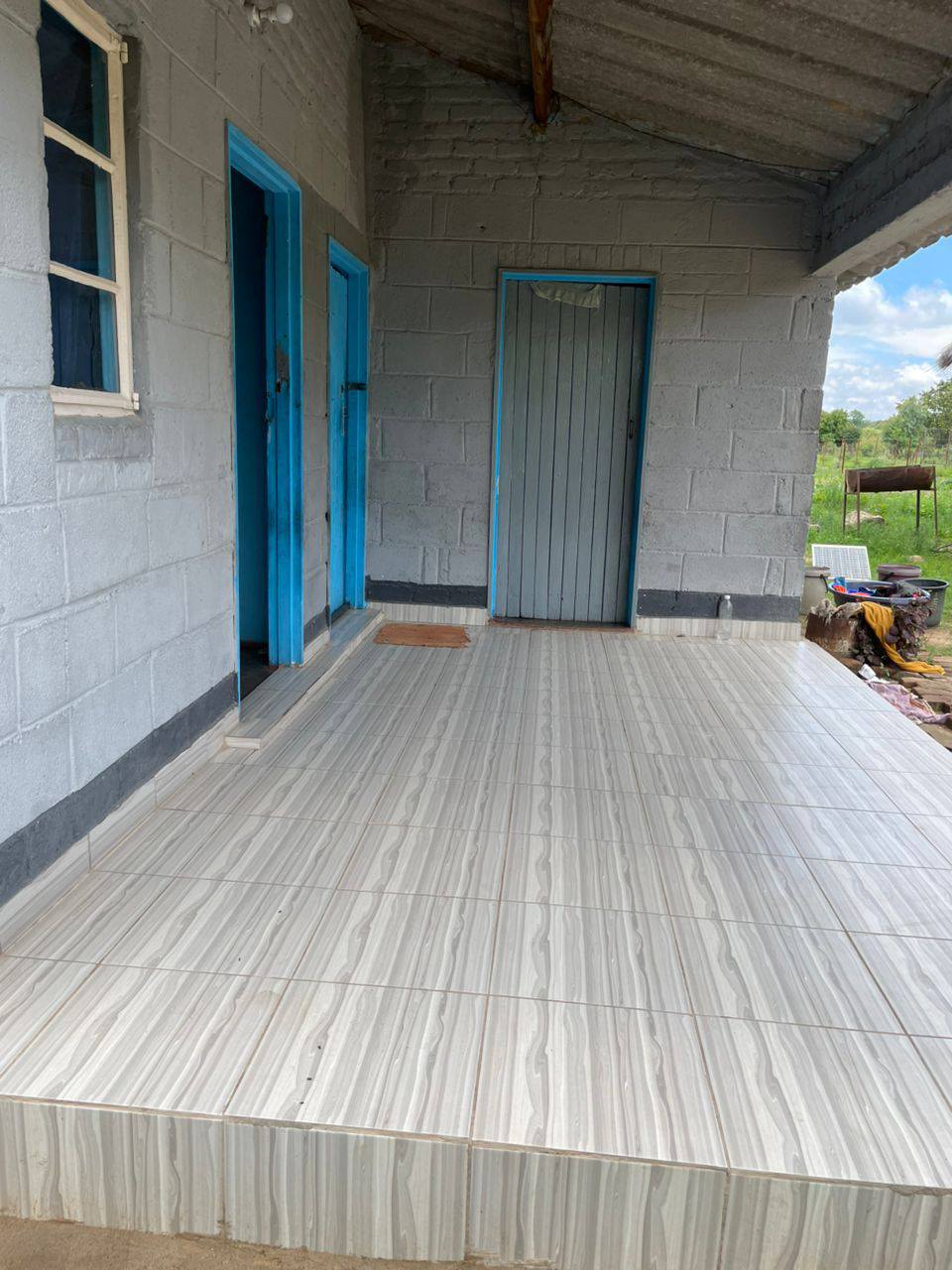 Trees for Sale in Zimbabwe: Tree Planting