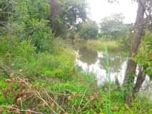 Traditional Land for Sale in Zambia 2023