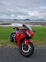 Result Page 2 of Honda CBR1000RR for Sale in New Zealand By Owner 2025 ...