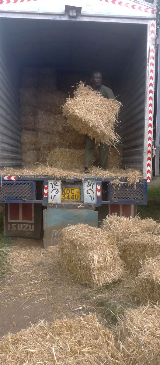Wheat straws boma Rhodes Available Contact 0713955612 0752945599: For ...