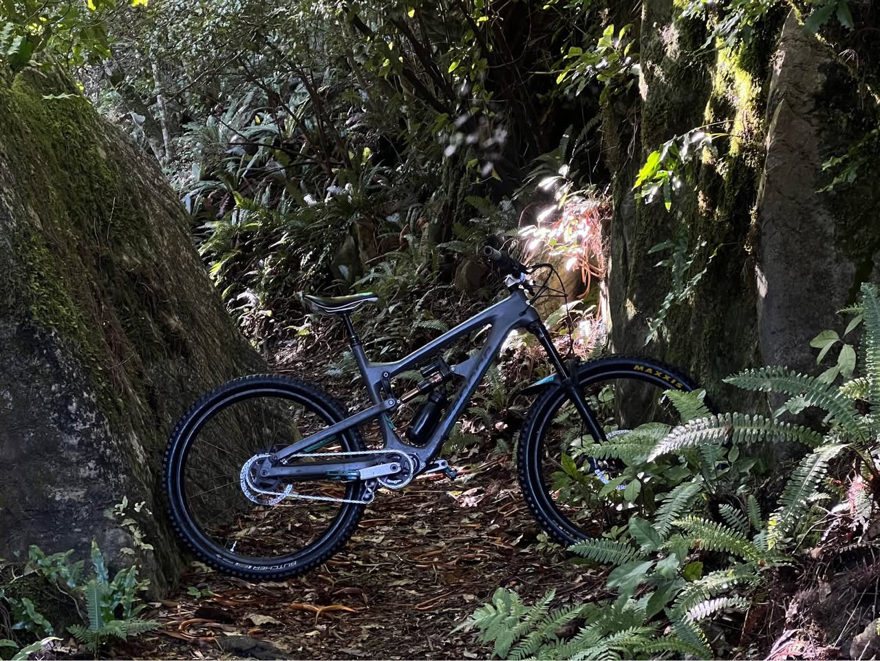 Zerode Taniwha Medium: For Sale New Zealand